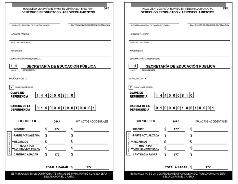 Hoja de Ayuda para Pago en Ventanilla | PDF