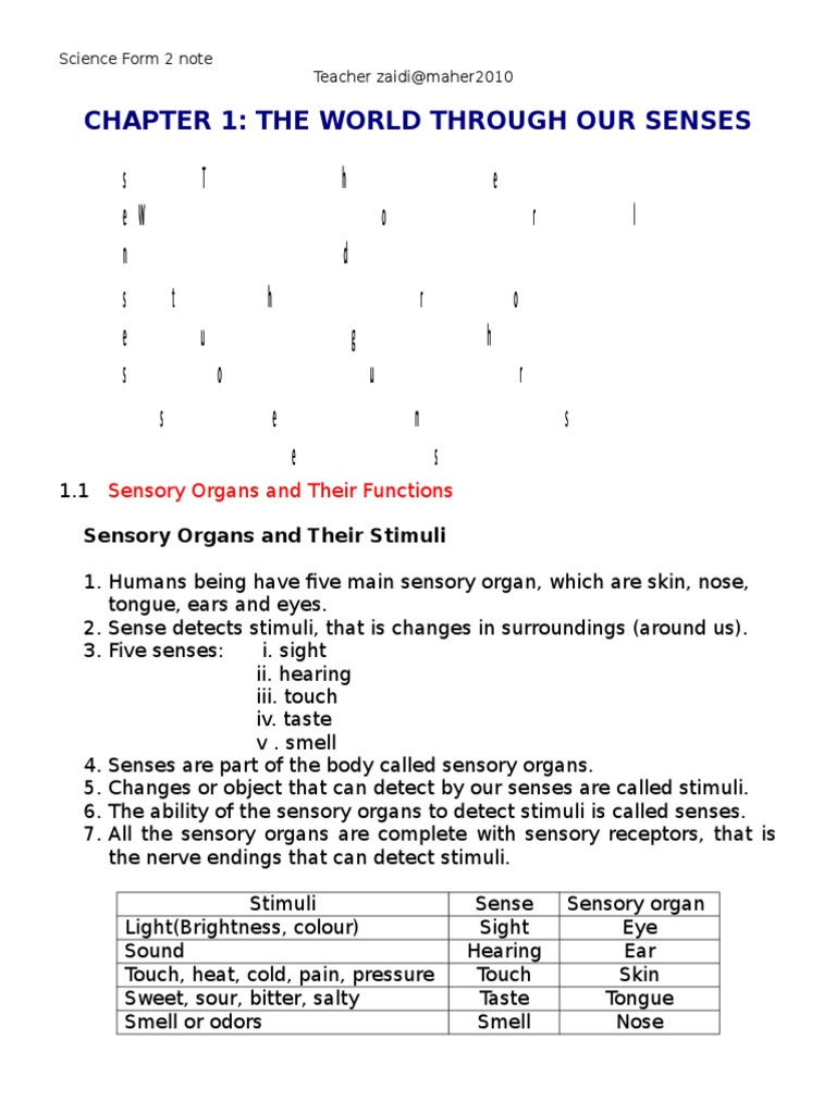 Understanding the Five Senses | PDF | Hearing | Senses