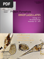 Easy Diatom Identification Guide | PDF