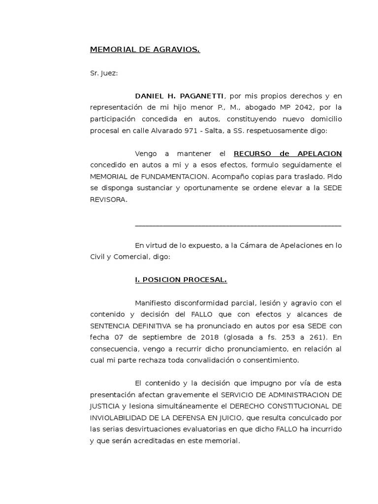 Memorial de Agravios - Def | PDF | Caso de ley | Apelación