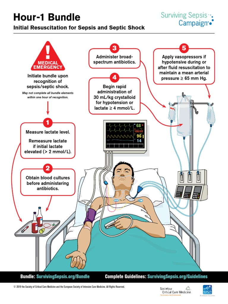 Surviving Sepsis Campaign Hour 1 Bundle | PDF | Sepsis | Traumatology Surviving Sepsis Campaign Hour 1 Bundle | PDF | Sepsis | Traumatology