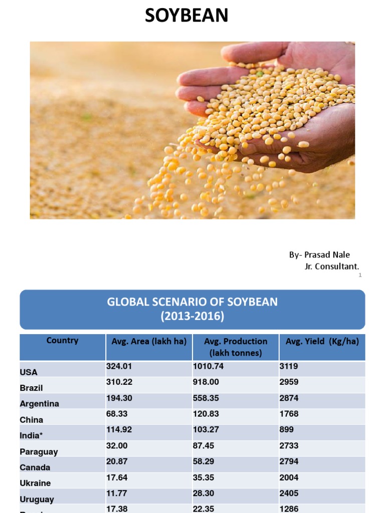 Soybean Scenario - Latur | PDF | Soybean | Domesticated Plants