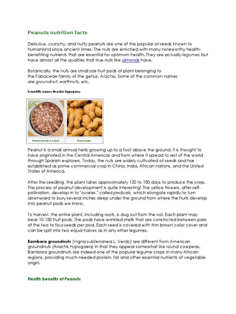 Peanuts Nutrition Facts | PDF | Peanuts | Nutrients