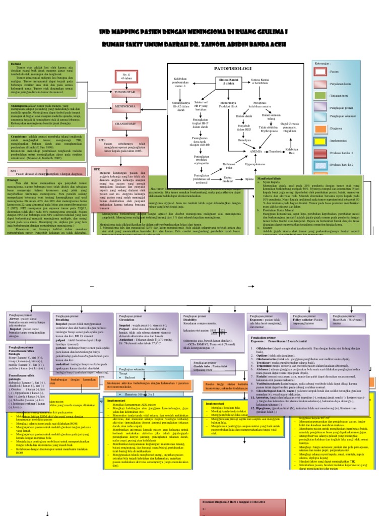 Mind Mapping Pasien Dengan Meningioma Di Ruang Mamplam I | PDF