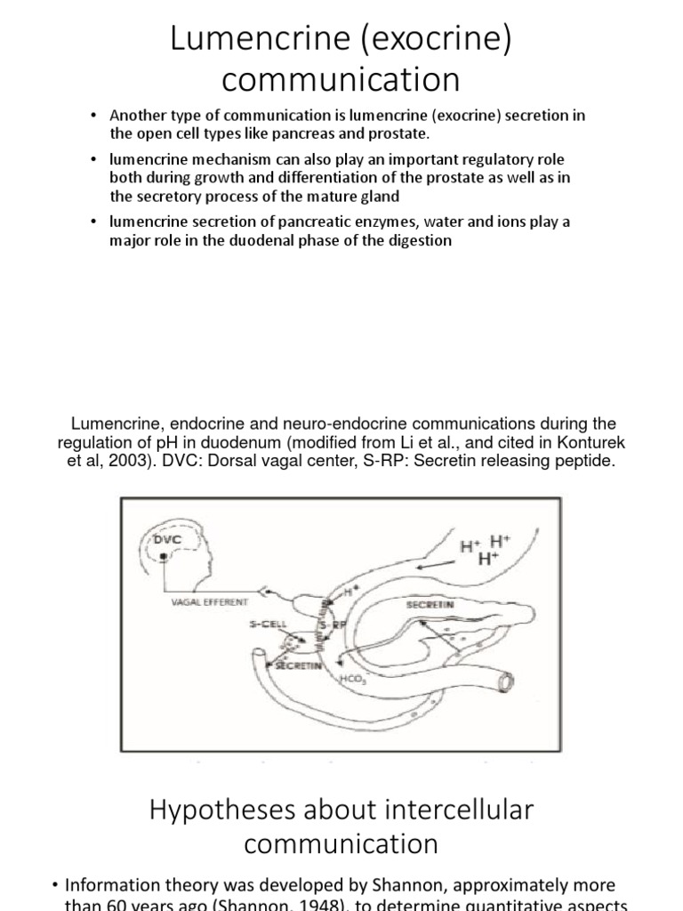 Lumencrine (Exocrine) Communication | Download Free PDF | Pancreas ...