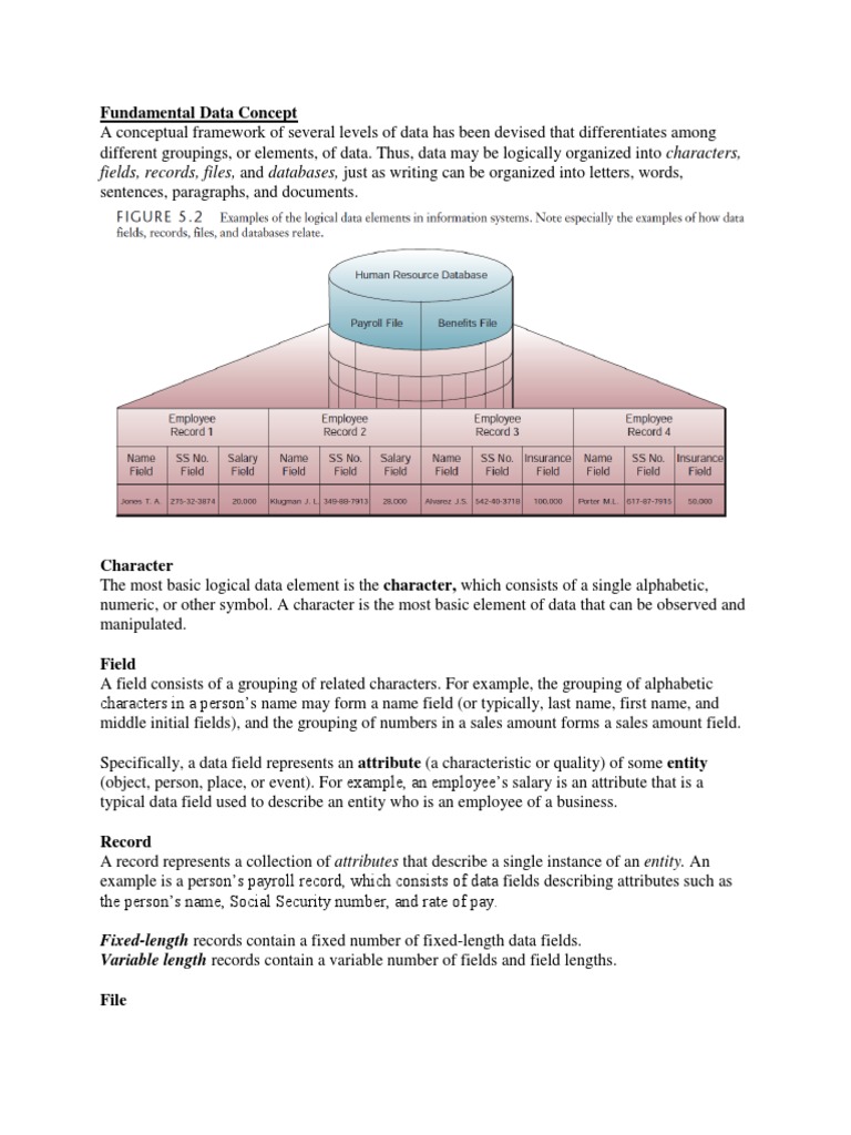 Fundamental Data Concept | PDF | Relational Model | Databases