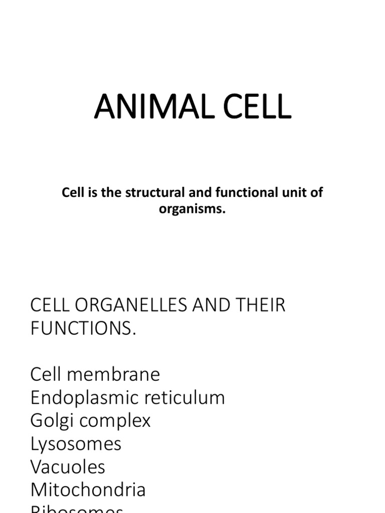 Functions of Animal Cell Organelles | PDF | Home & Garden | Science ...