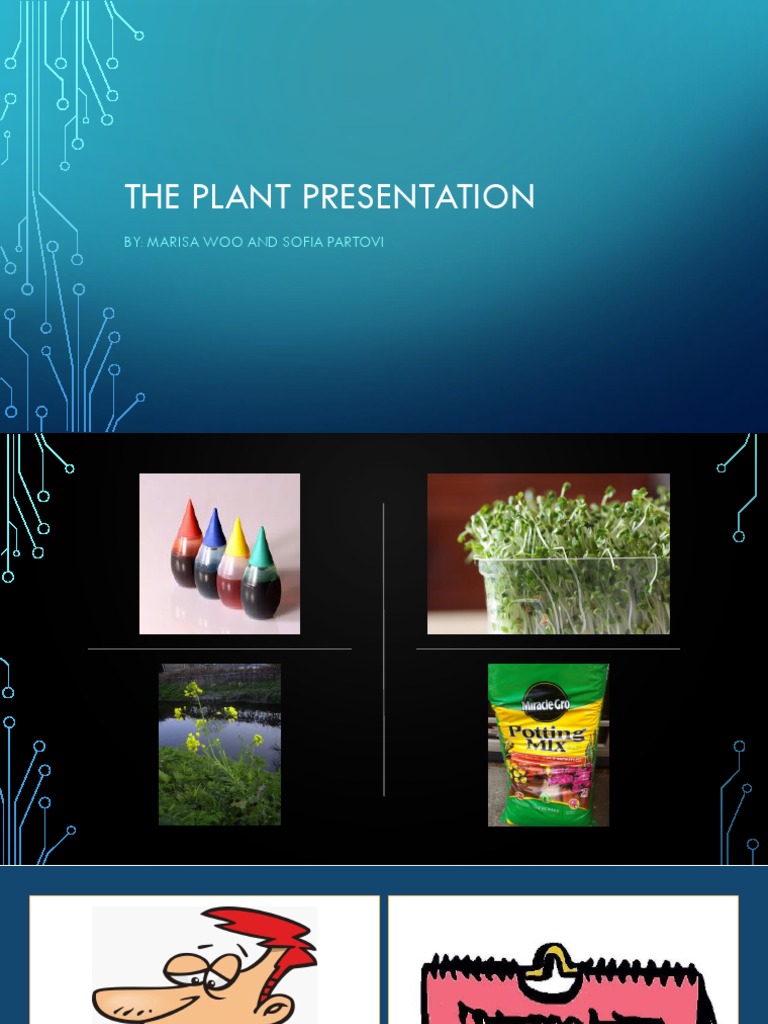 Plant Presentation | PDF