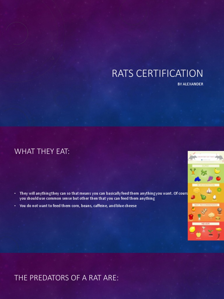 Rat Certification Overview | PDF