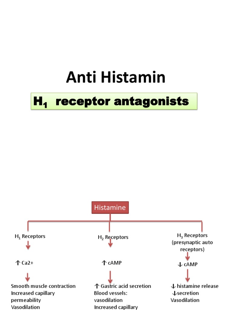 Understanding Antihistamines and Their Types | PDF | Neurochemistry | Drugs