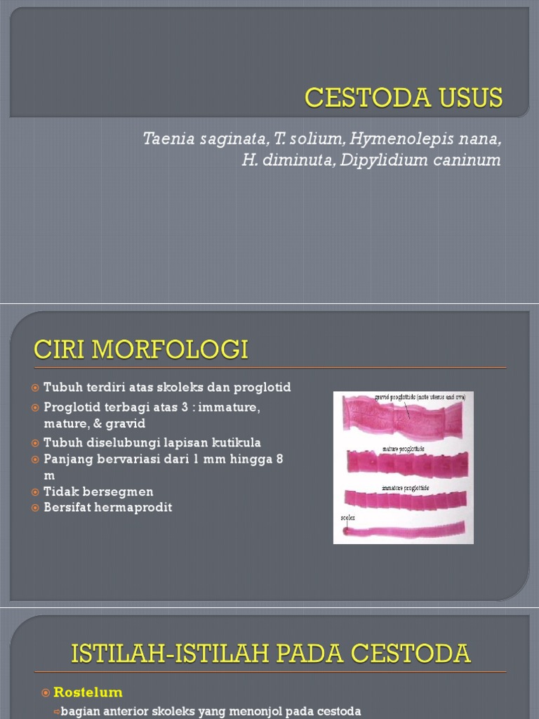 Parasitologi Cestoda: Morfologi & Pencegahan | PDF