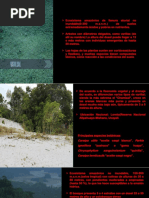 Importancia del Bosque de Colina Baja | PDF | Ciencias de la Tierra