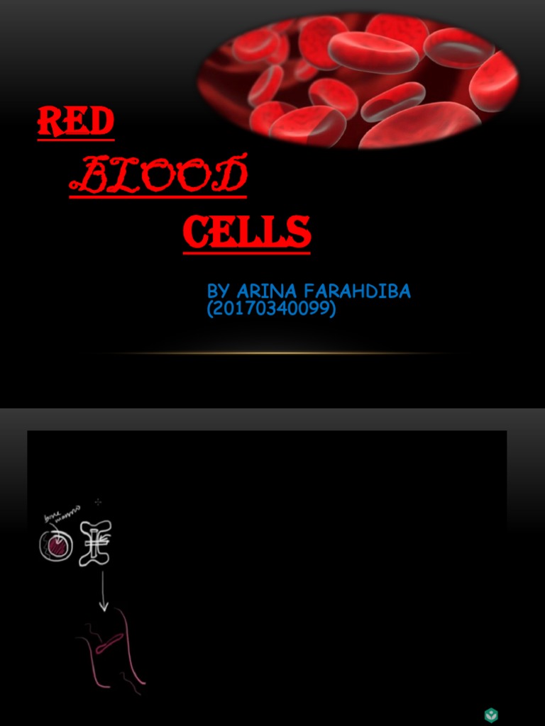 Red Blood Cells | PDF | Blood | Pathology