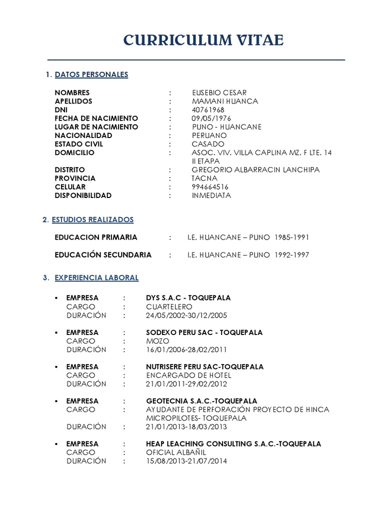 Curriculum Vitae - Eusebio Mamani | PDF