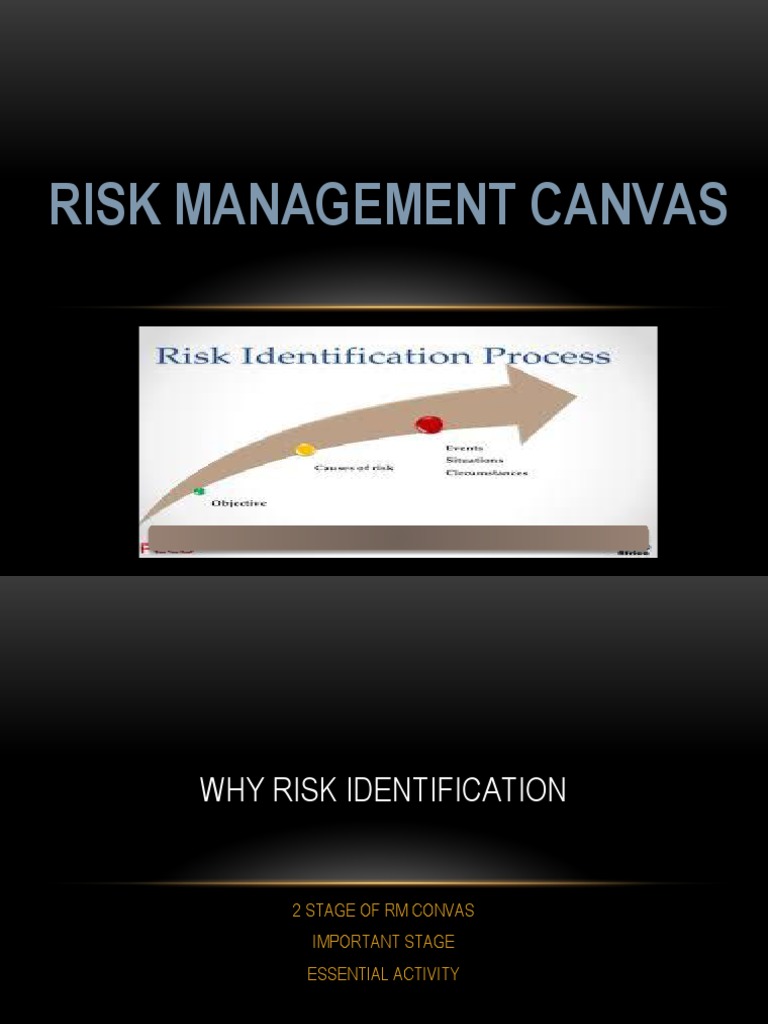Risk Management Canvas | PDF