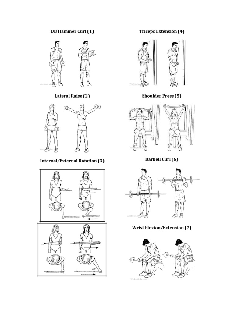 5 Arms Shoulders Handout | PDF