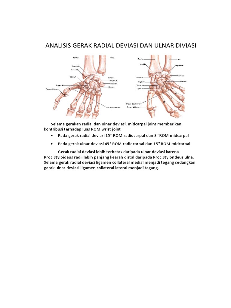 Analisis Radial & Ulnar Deviasi | PDF