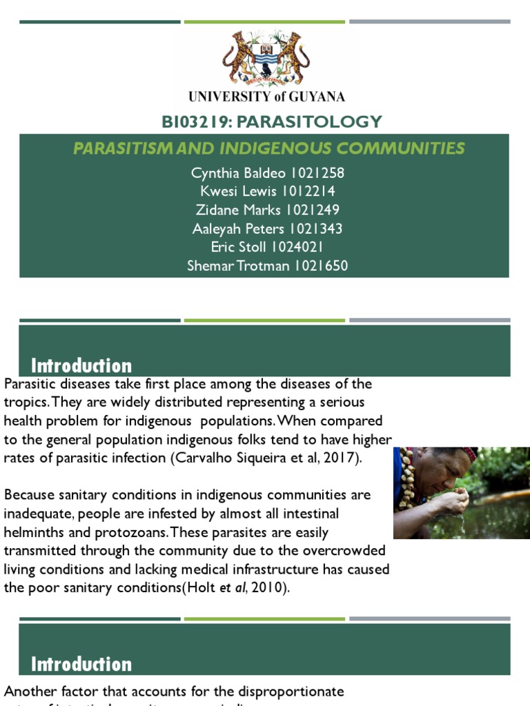 River Continuum Concept - Vannote Et Al | PDF | Malaria | Parasitology