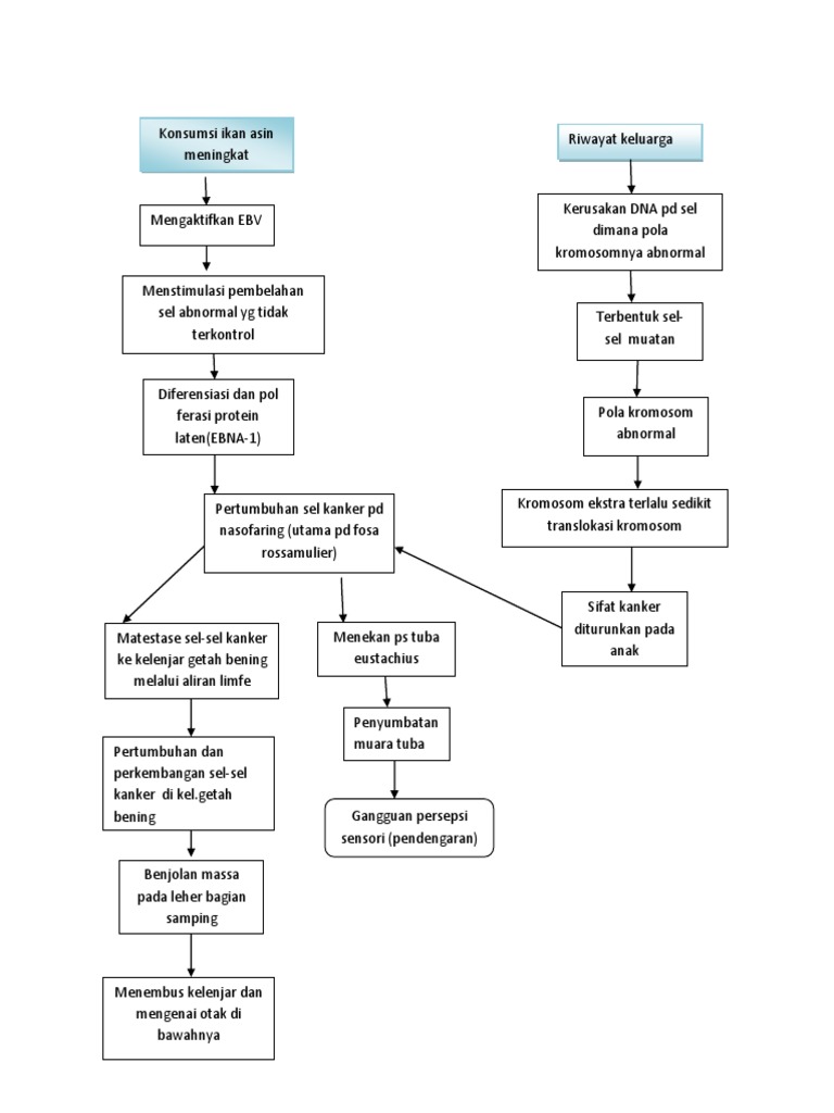WOC CA Nasofaring | PDF