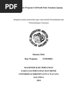 Proses Reproduksi Tumbuhan Aseksual dan Seksual | PDF | Ilmu Sosial