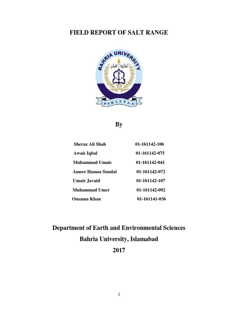 Salt Range Geological Field Report | PDF | Sedimentary Rock | Clastic Rock