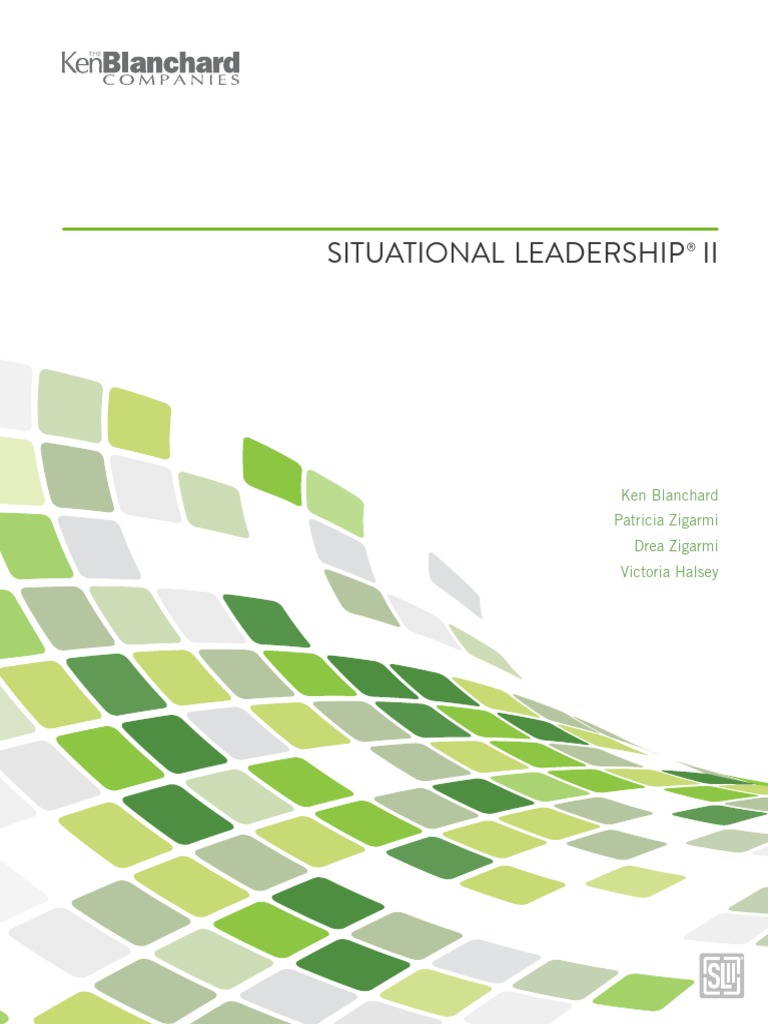 The SLII Experience Sample PW PDF | PDF | Goal | Leadership