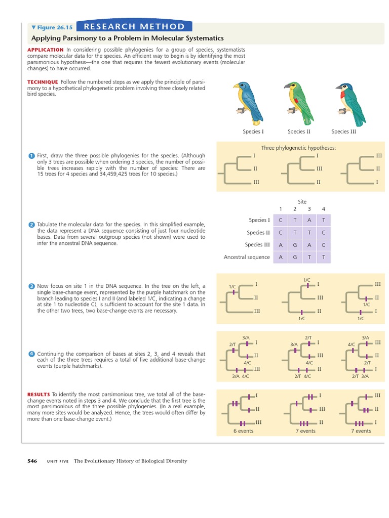 Research Method: Applying Parsimony To A Problem in Molecular ...