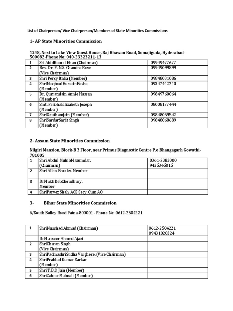 State Minority Commission | PDF