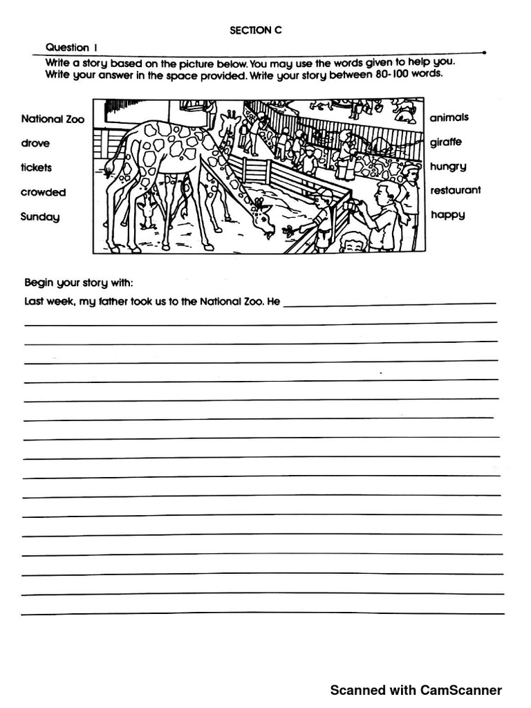 Paper 2 English Section C | PDF