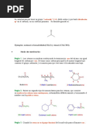 Estructura y Tipos de Grupos Alquilo | PDF