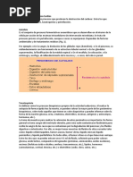 Corificación Cadaverica | PDF | Descomposición | Química