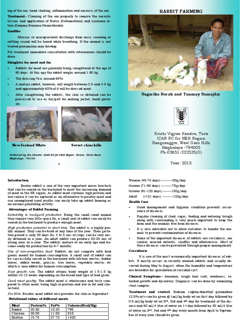 Rabbit Farming | PDF | Rabbit | Fodder