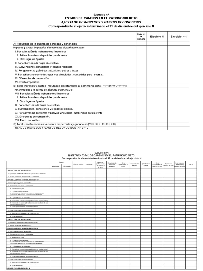 Plantilla ECPN | PDF | Valor neto | Dividendo