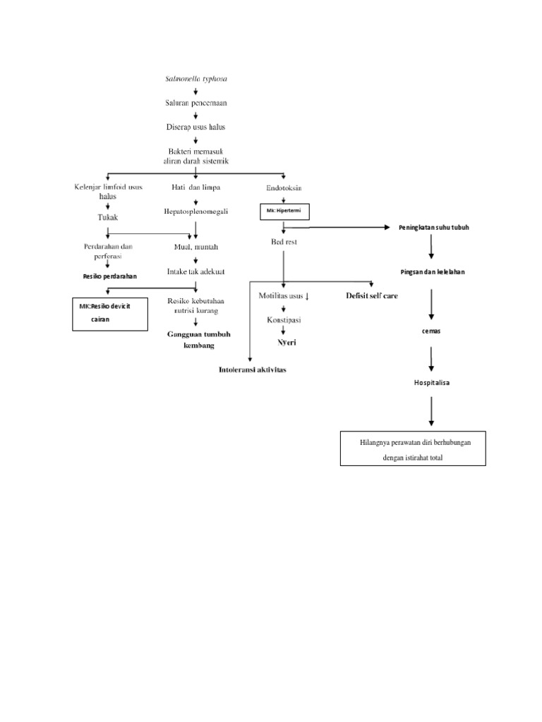 Peningkatan Suhu Tubuh: MK: Hipertermi | PDF