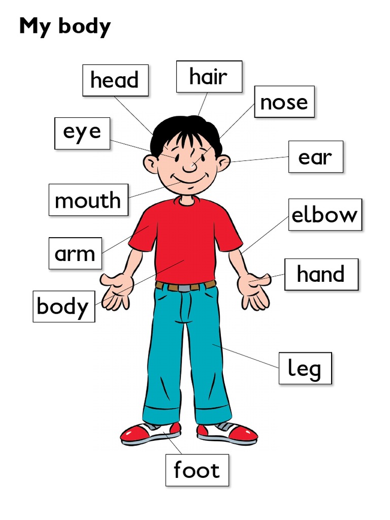 Lby0032 g2 Body Poster Web | PDF