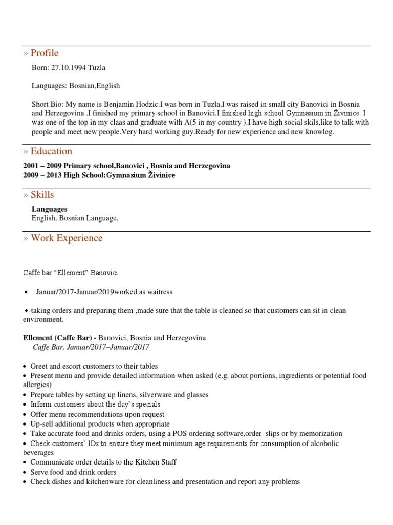 Benjamin CV.docx | PDF