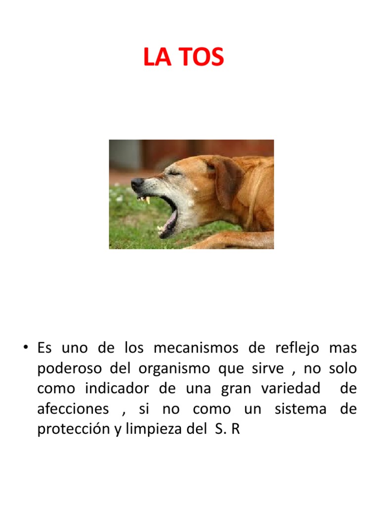 La Tos | PDF | Tos | Especialidades Medicas