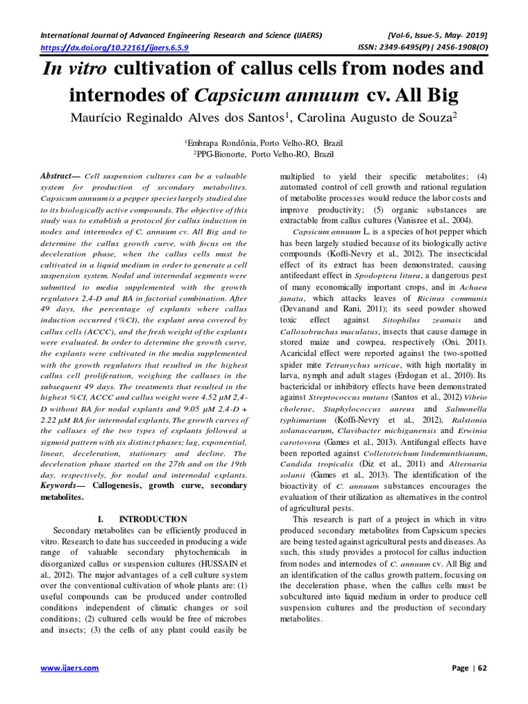 In Vitro Cultivation of Callus Cells From Nodes and Internodes of ...