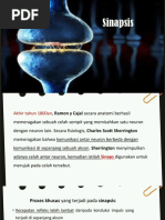 Sinaps dan Neurotransmitter: Fungsi dan Mekanisme | PDF