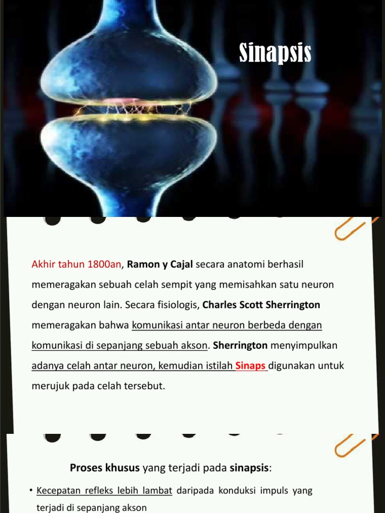 Sinapsis | PDF | Pengembangan Diri | Sains & Matematika