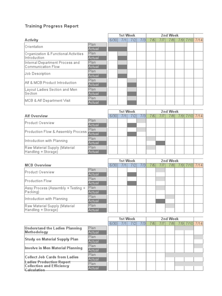 Training Progress Report: Actual Actual Actual Actual Actual Actual ...