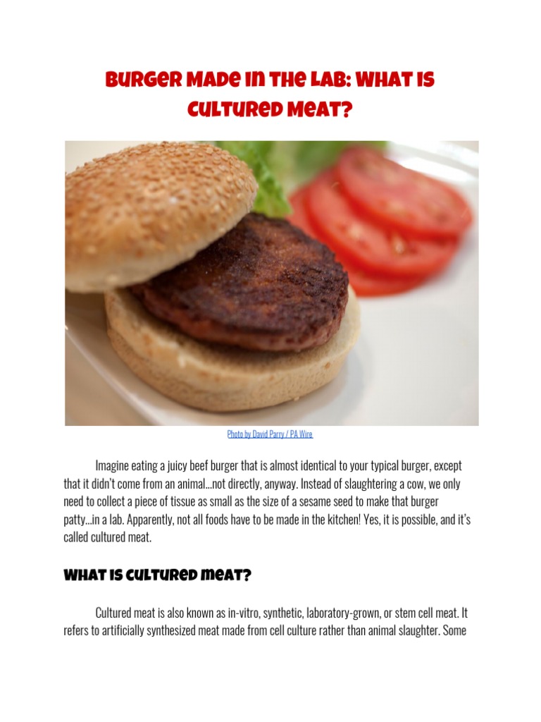 Burger Made in The Lab: What Is Cultured Meat? | PDF | Meat | Foods