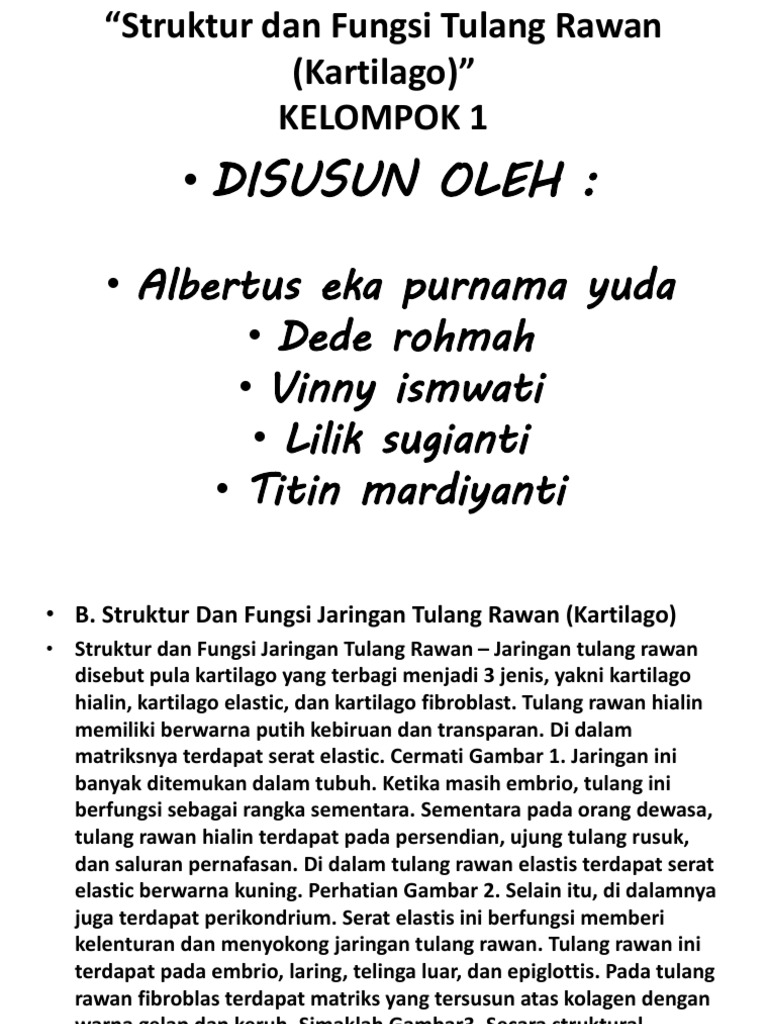 Struktur Dan Fungsi Tulang Rawan (Kartilago | PDF