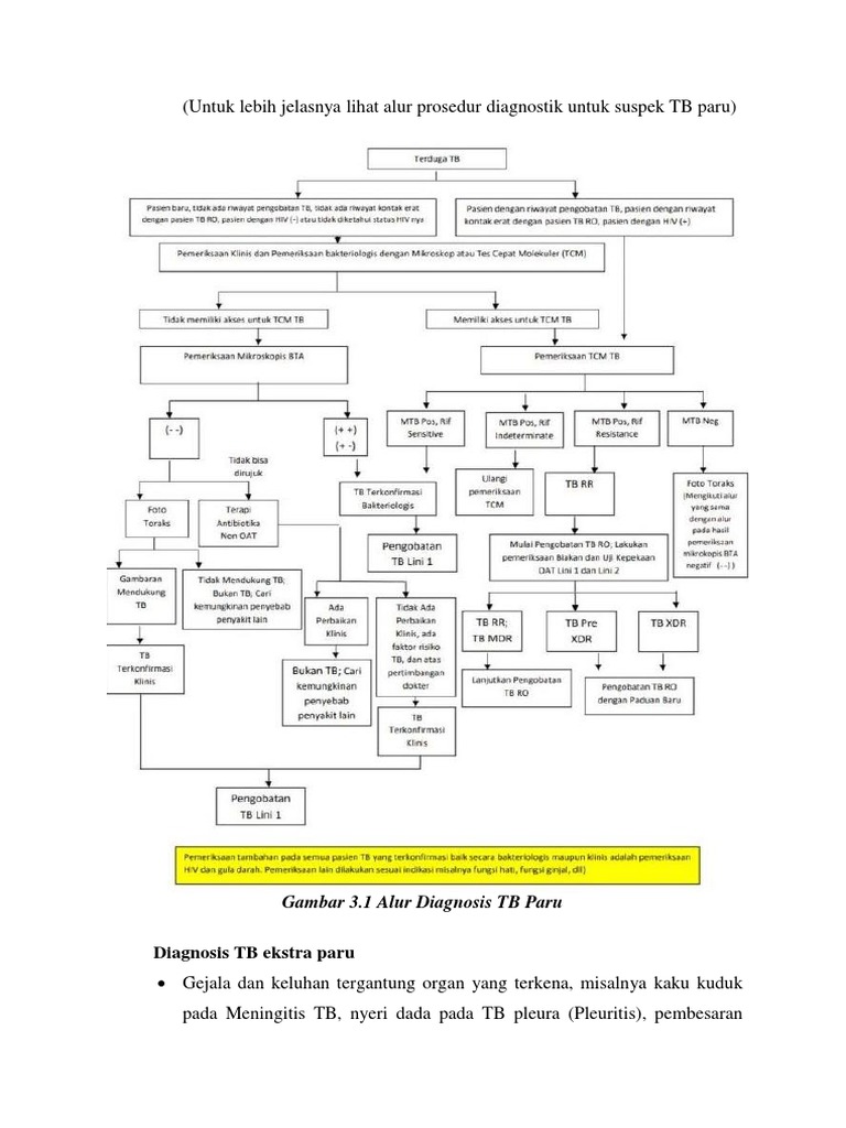 Alur Diagnosis | PDF