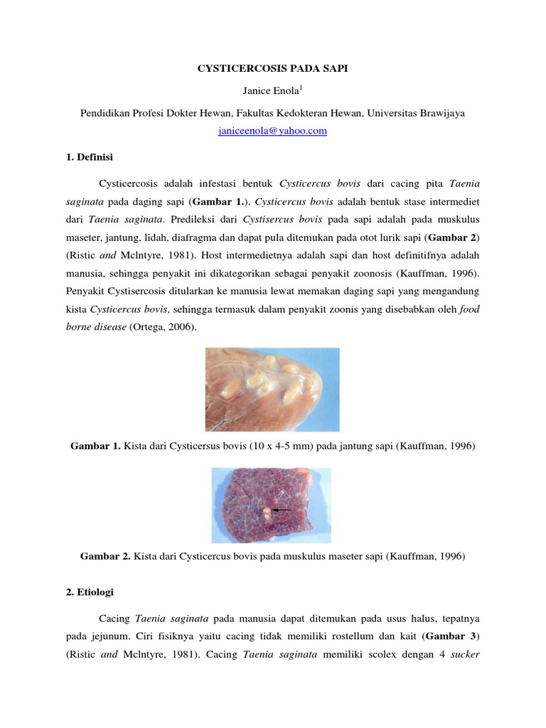 CYSTICERCOSIS PADA SAPI Janice-1 | PDF