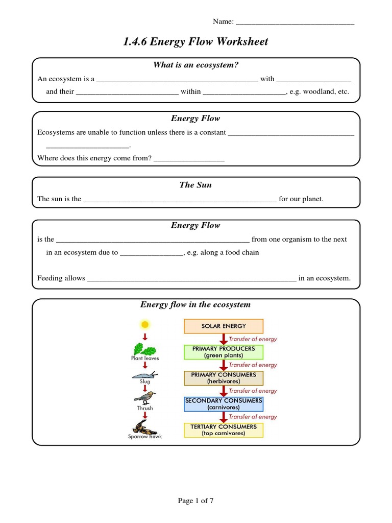 1.4.6 Energy Flow Worksheet | PDF | Food Web | Systems Ecology