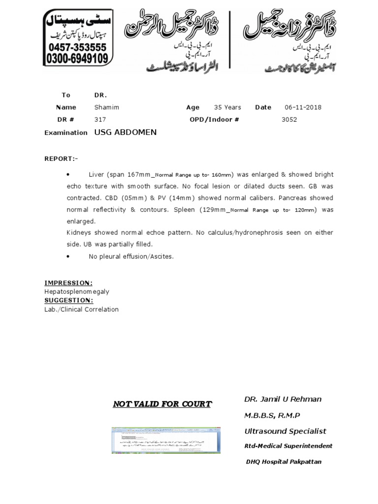 Sample Report Alpha Dog | PDF | Medical Ultrasound | Vein