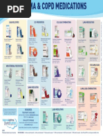 NAC Asthma COPD Medications Chart 2022 - A4 - Web | PDF | Medicine ...