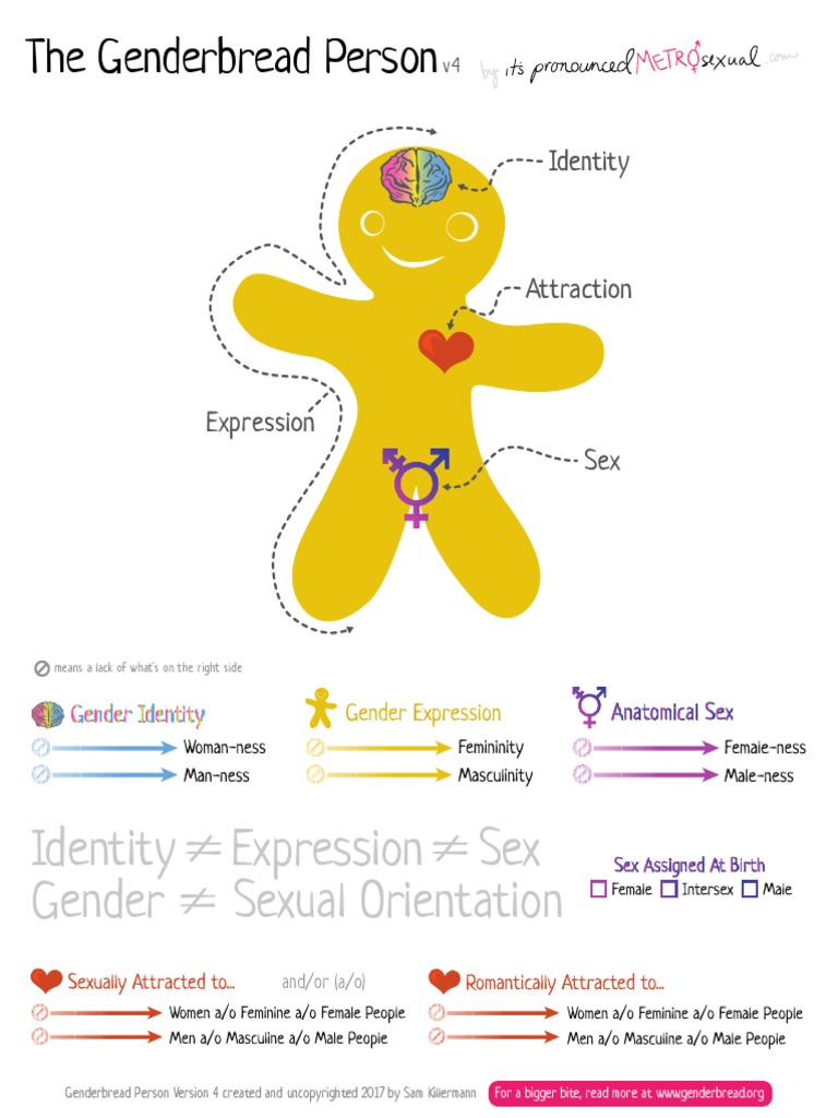 The Genderbread Person | PDF