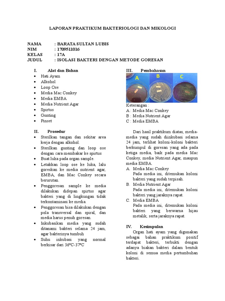 Isolasi Bakteri dengan Loop Ose | PDF
